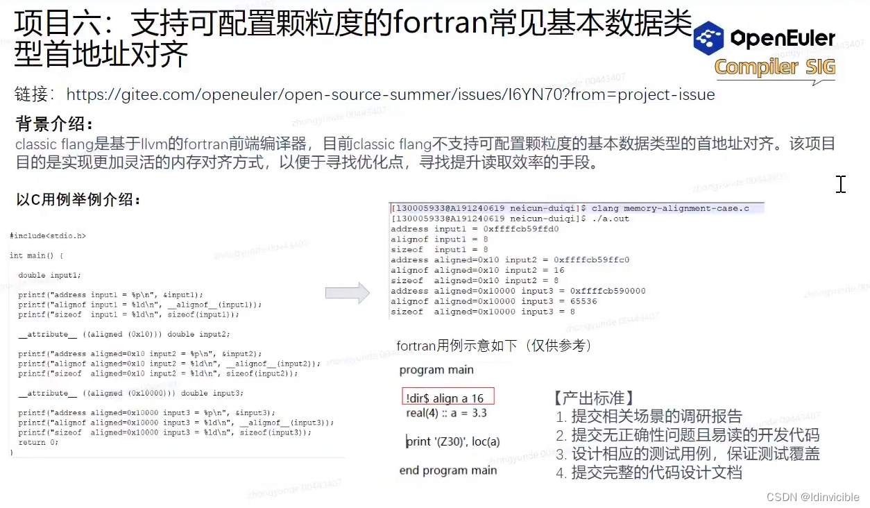[openEuler]开源之夏2023｜编译器&嵌入式线项目宣讲_哔哩哔哩 openeuler-CSDN博客
