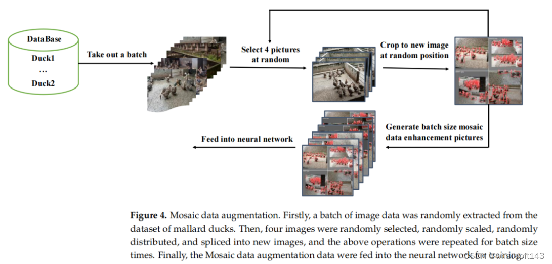 Yolo7~农业方向_yolov7检测玉米-CSDN博客