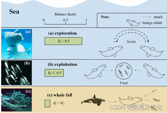 Sci、中科院1区算法应用：（bwo Cnn Bigru Attention）白鲸优化深度学习 融合注意力机制预测程序代码！包含特征可视化，数据excel导入，直接运行！ Csdn博客