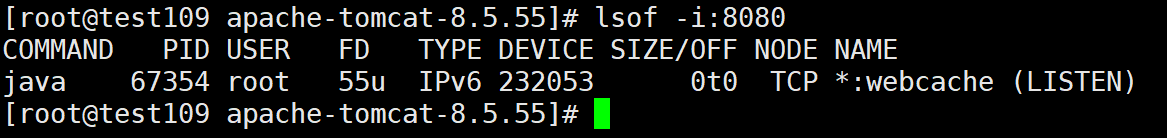 Linux安装tomcat、无法启动的解决方案_linux tomcat无法启动-CSDN博客