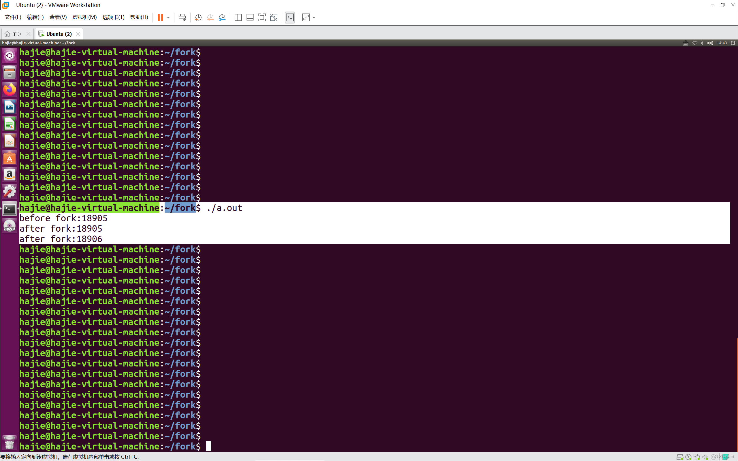 Linux进程—fork函数的使用，fork函数空间变化，及进程用途_虚拟机fork函数的使用-CSDN博客