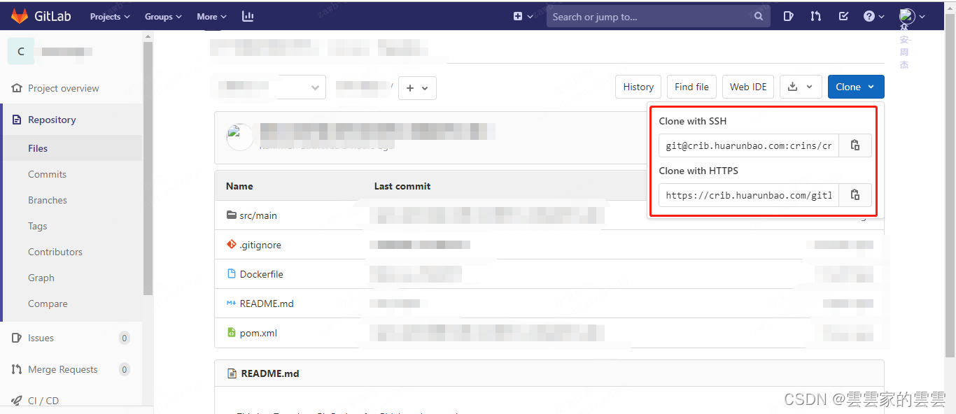 SmartGit使用-CSDN博客