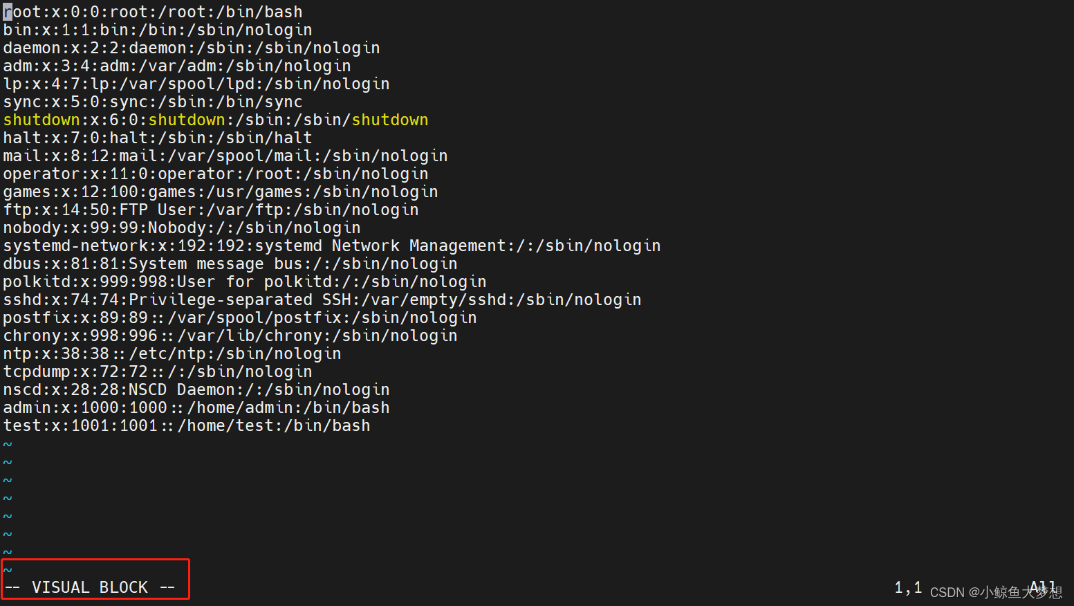 Linux基础笔记13 | vim 编辑器详解_在命令模式中输入什么,进入区块命令模式,选中光标经过的矩形区域并高亮显示-CSDN博客