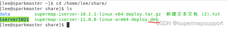 Linux（arm64）环境部署SuperMap iServer_supermap iserver安装-CSDN博客