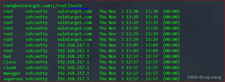 Linux系统信息收集_linux信息搜集-CSDN博客