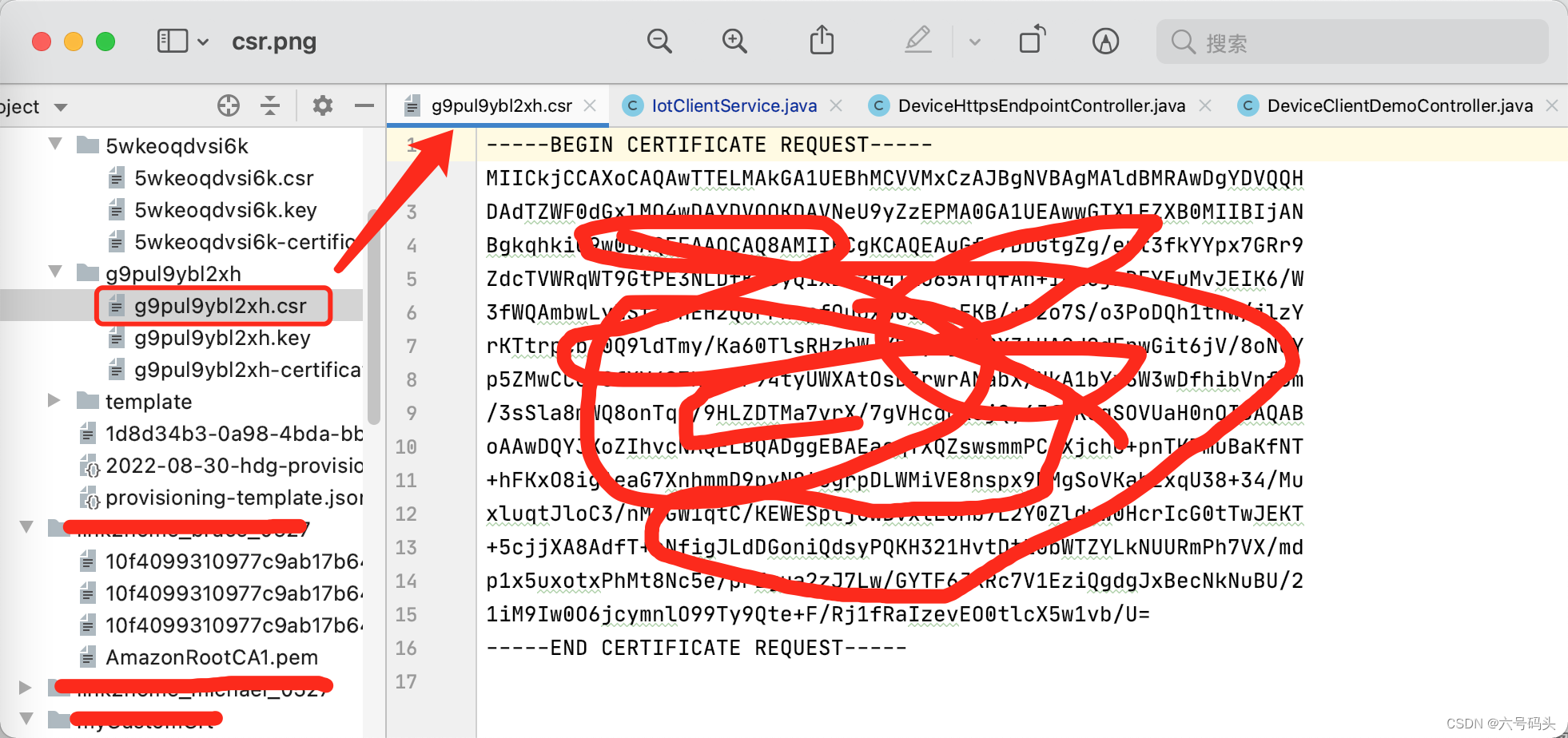 什么是CSR以及CSR的作用和生成方法_证书csr主题规则如何设置-CSDN博客