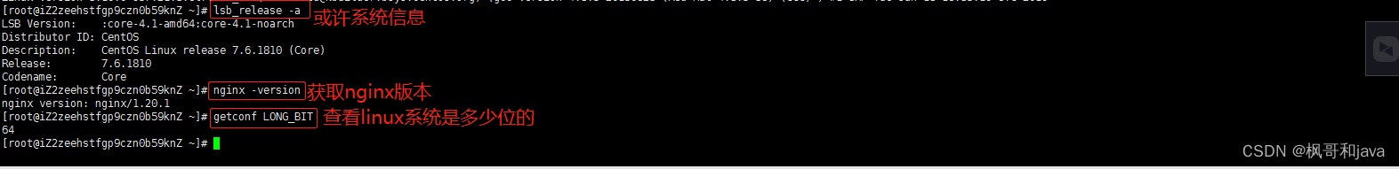 Linux配置nginx开机自启动保姆级教程来啦!!_nginx设置开机自启动 linux-CSDN博客