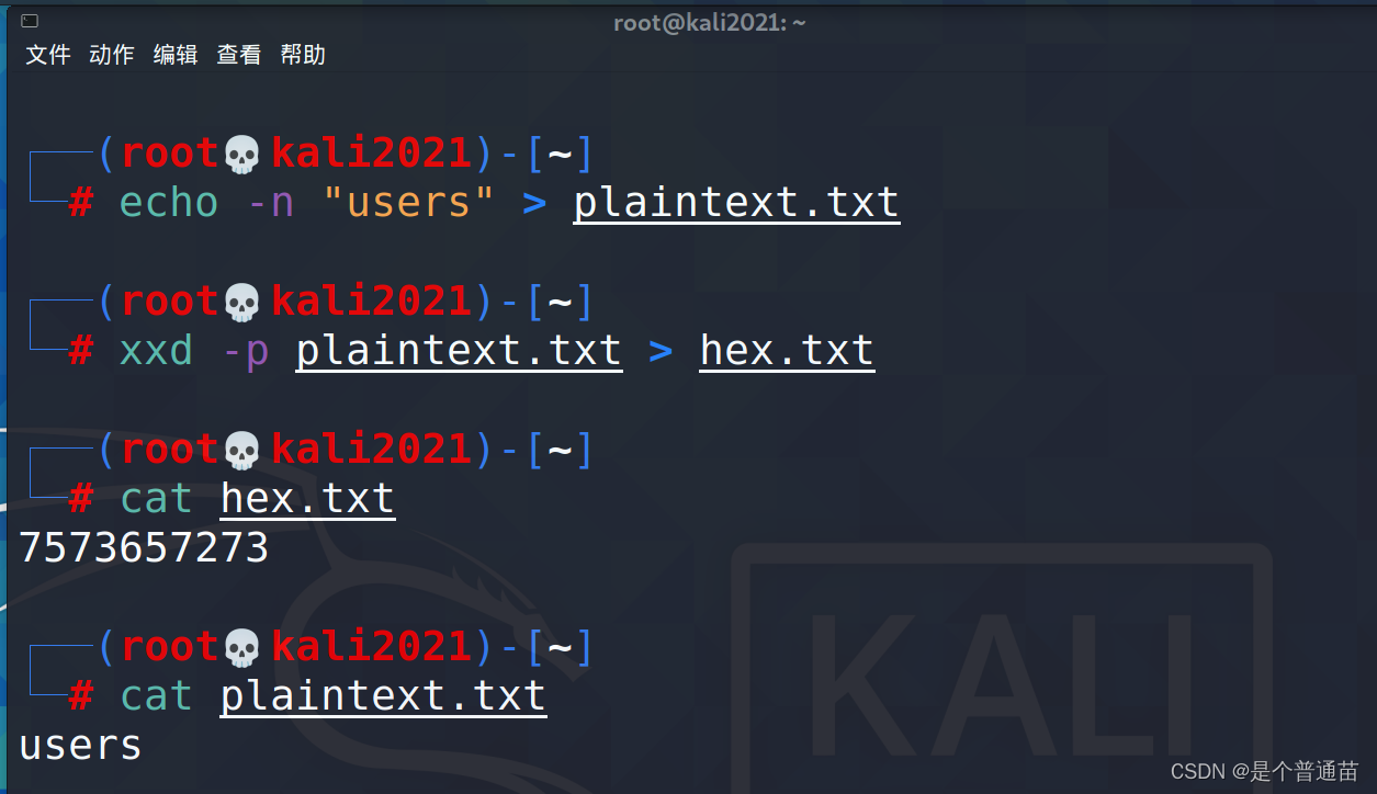 kali Linux使用命令进行16编码、使用hexdump命令查看各类文件_kali xxd-CSDN博客