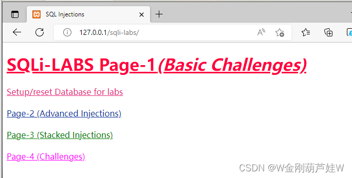 虚拟机SQL注入Xampp靶场环境搭建_xampp配置sqli-labs安装教程-CSDN博客