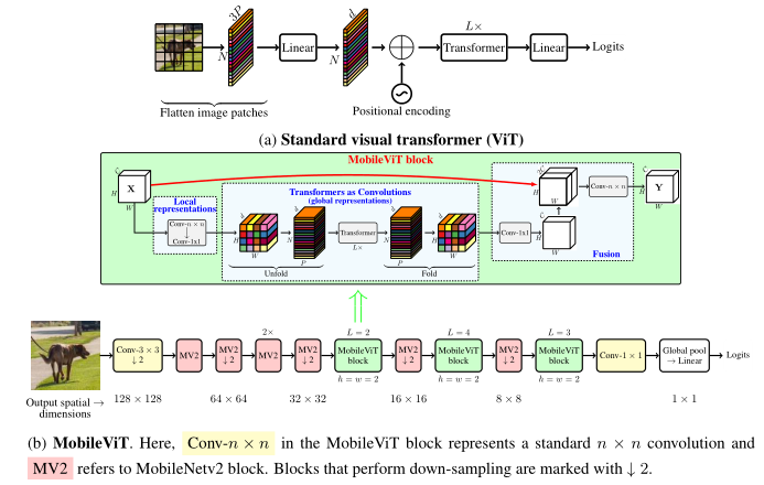 MOBILEVIT: LIGHT-WEIGHT, GENERAL-PURPOSE, AND MOBILE-FRIENDLY VISION TRANSFORMER通过transformer简化 ...