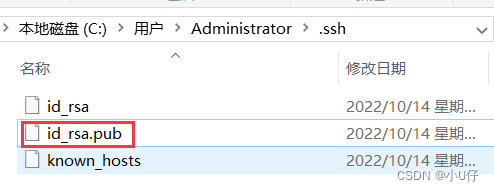 idea配置git ssh_idea配置git ssh密钥-CSDN博客