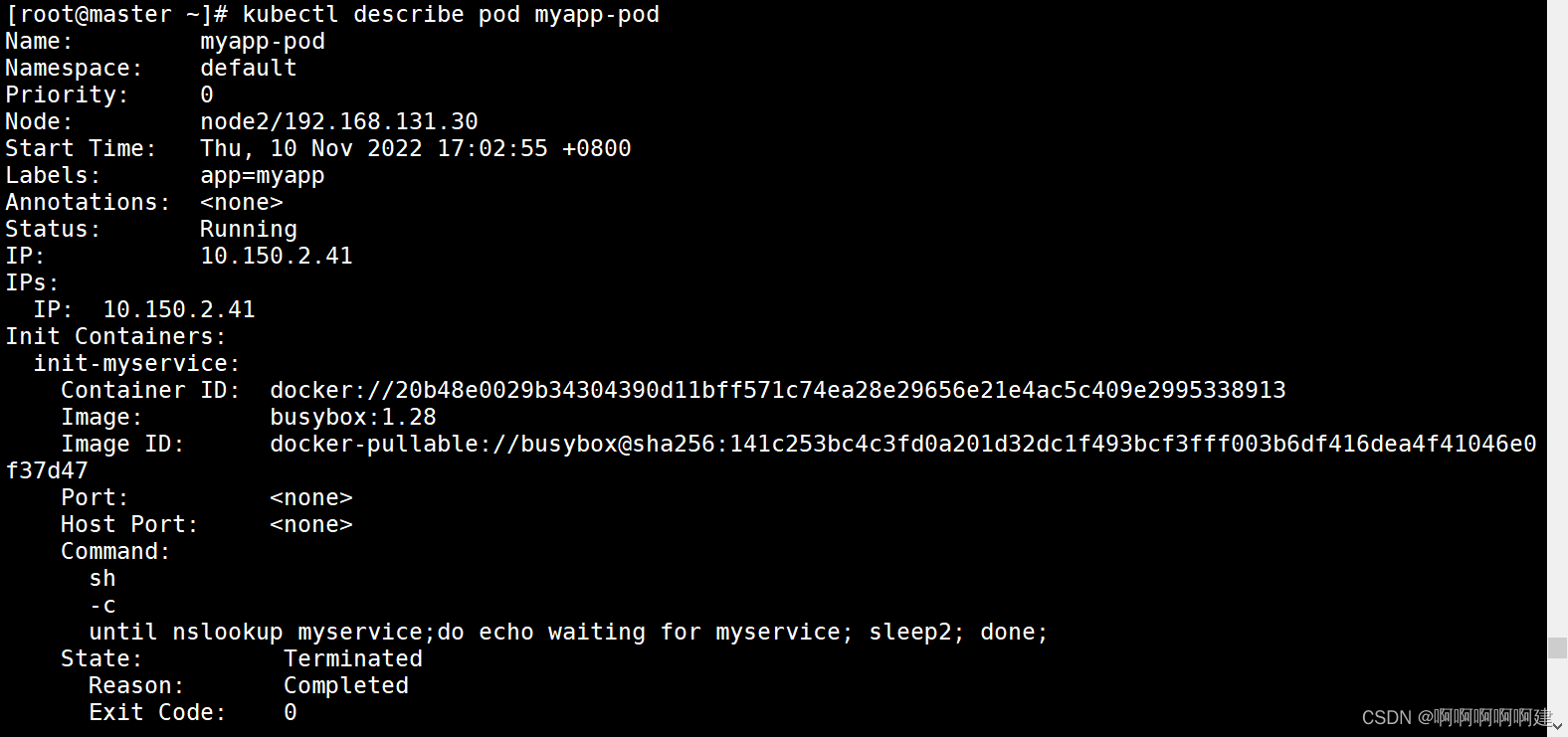 k8s Pod基础概念-CSDN博客