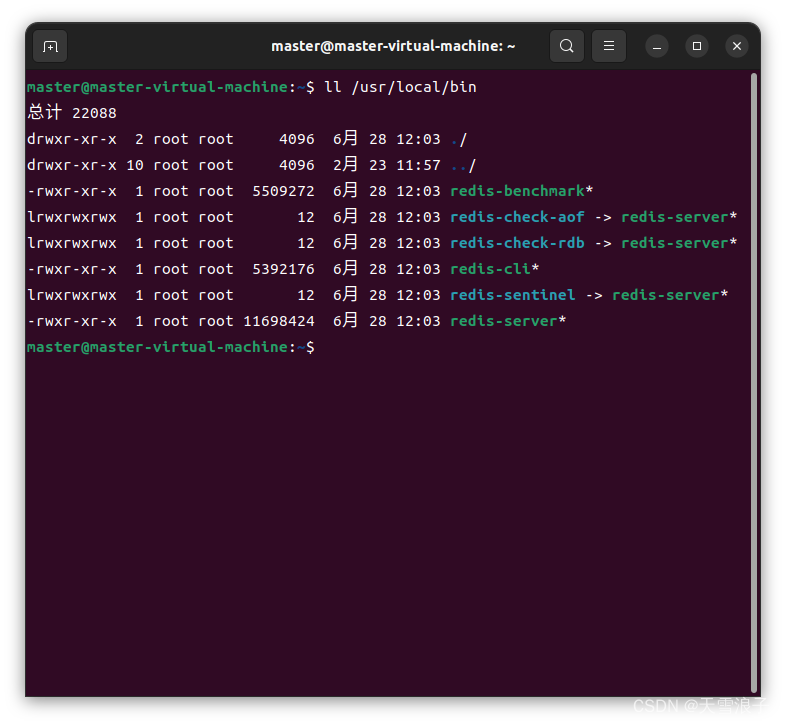 Ubuntu 22.04编译安装Redis 7-CSDN博客