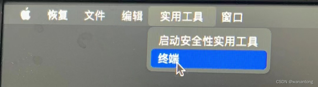 解决MAC安装过程中出错问题，Csrutil disable 关闭SIP_mac csrutil-CSDN博客