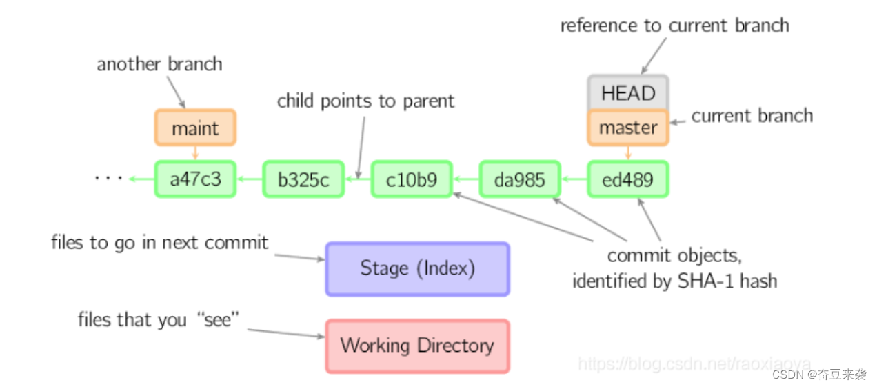 Git 05 ---HEAD指的是什么_git head的内容-CSDN博客