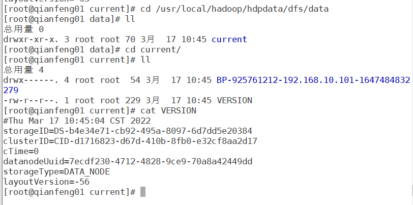 Hadoop的datanode没有启动_datanode没启动会有什么影响-CSDN博客