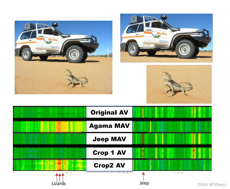 开集识别学习笔记（一）--《Towards Openset Deep Networks 》中文精校与理解_towards open set deep networks-CSDN博客