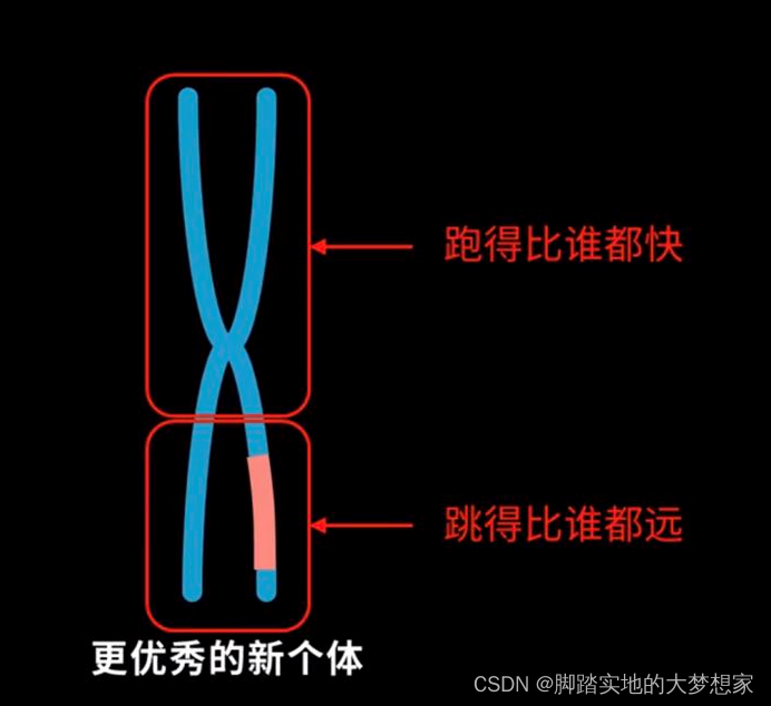 【ai】genetic Algorithm 遗传算法人工智能算法基因图谱序列 Csdn博客 