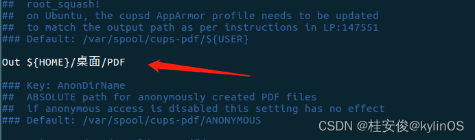 【银河麒麟V10】【桌面】安装虚拟pdf打印机_怎么安装 cups pdf-CSDN博客