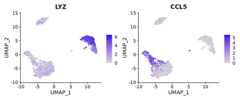 Seurat分析单细胞标准流程-CSDN博客