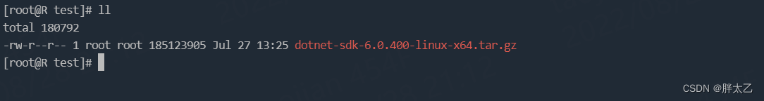 Linux 安装 .net core 6.0 环境_linux dotnet core 6.0 install-CSDN博客