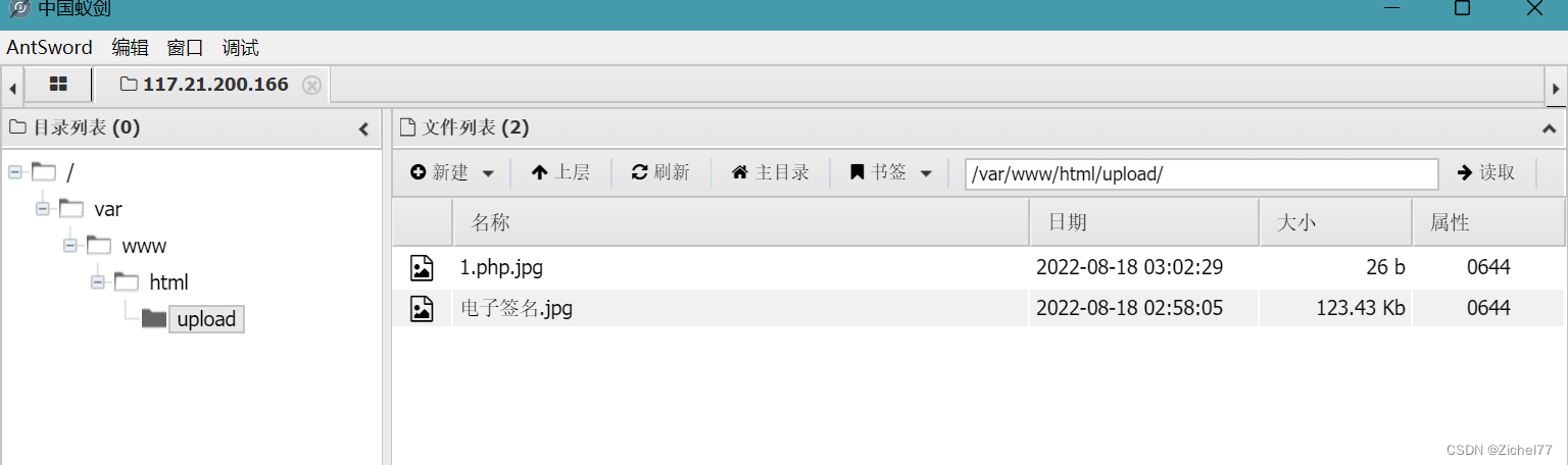 BUUCTF——Basic-Upload-Labs-Linux（Pass01）_upload-labs-linux 1-CSDN博客