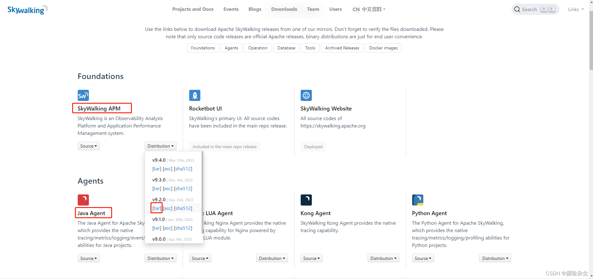 Java项目集成skywalkingwindows系统skywalking Java部署 Windows Csdn博客 