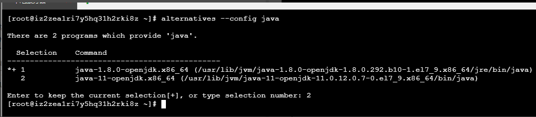 Linux下 jdk8 和 jdk11 共存方法_linux安装openjdk11可以兼容jdk8吗-CSDN博客
