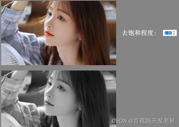 Qml 图形渲染 Desaturateqml渲染 Csdn博客 