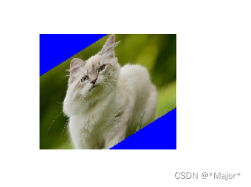 预处理之仿射变换_randomaffine-CSDN博客