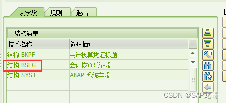 SAP-FI-会计凭证确认OB28_sap ob28-CSDN博客