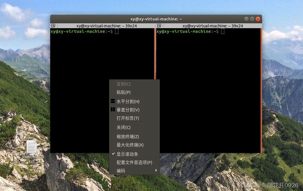 ubuntu 终端窗口优化——使用terminator_ubuntu 终端优化-CSDN博客