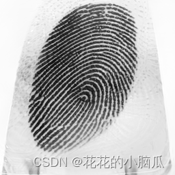 StyleGan3生成图片报错数据不够/ValueError: not enough image data/raise ValueError(“not enough image data ...