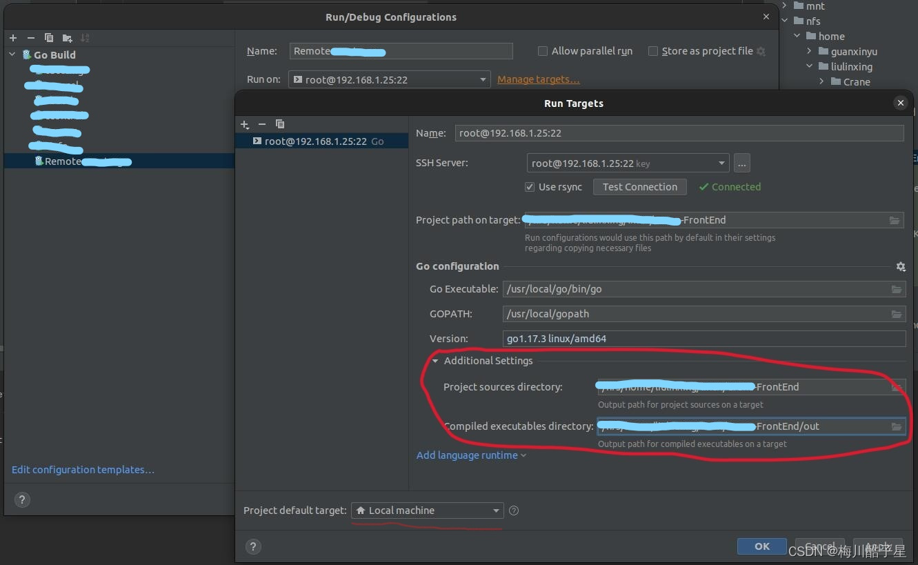 Goland 远程开发配置详细步骤（远程构建+远程调试）-CSDN博客