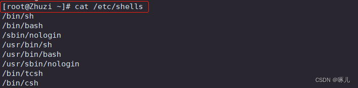 Shell脚本——编程规范与echo命令_shell echo-CSDN博客