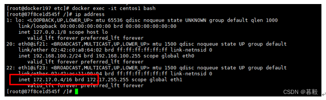 Docker基础24--Docker网络配置_修改docker0默认ip-CSDN博客