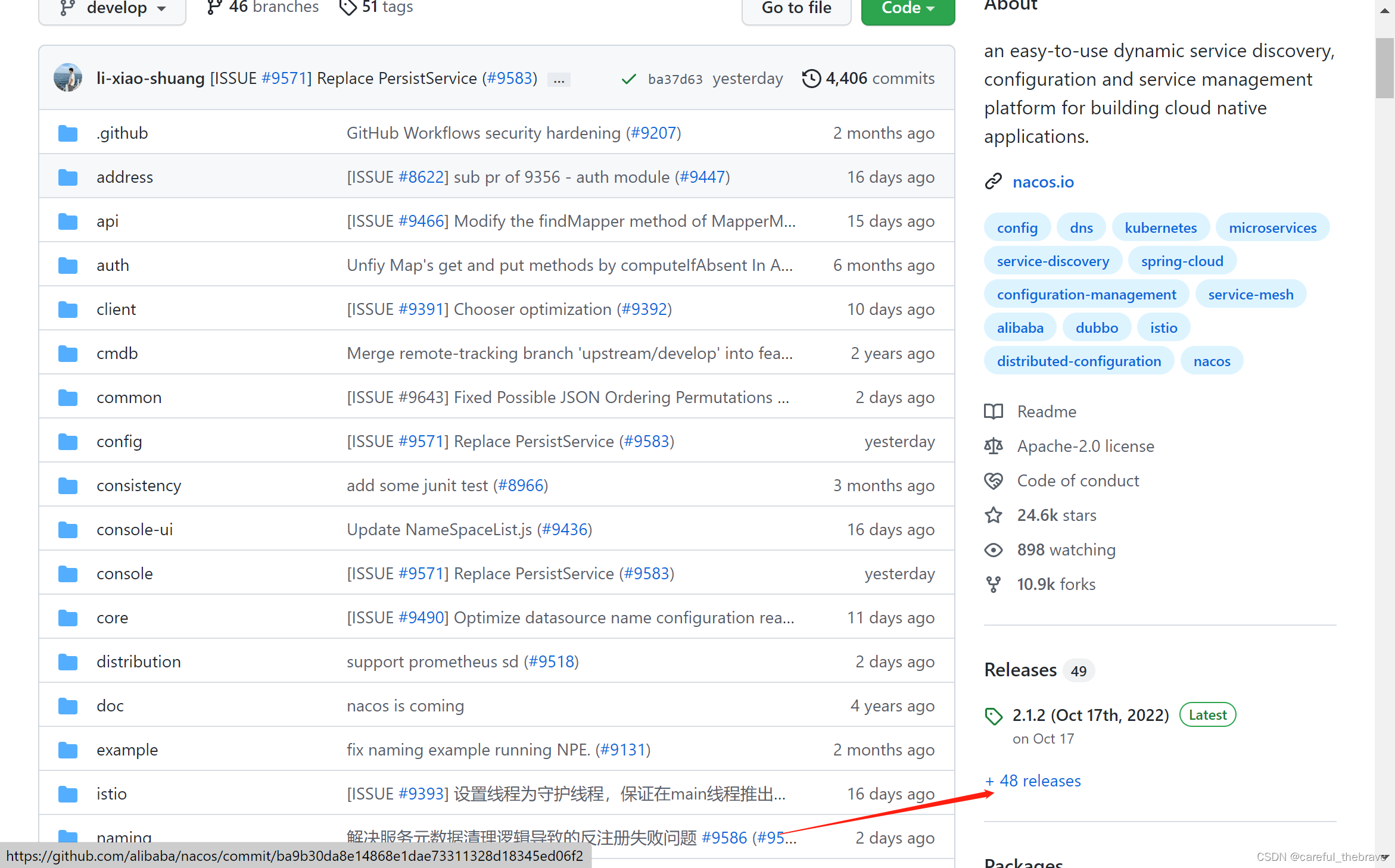nacos的使用_java naocs配置pom-CSDN博客
