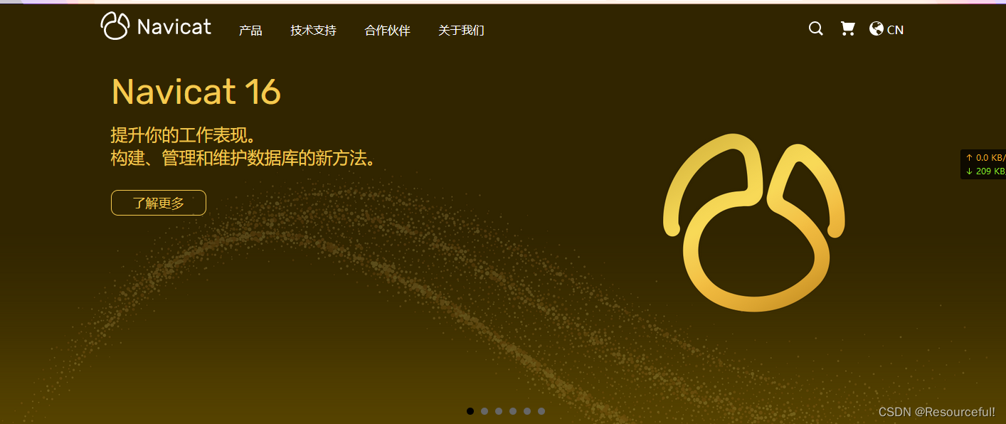 最新 Navicat Premium 16 学习使用工具及使用教程-CSDN博客