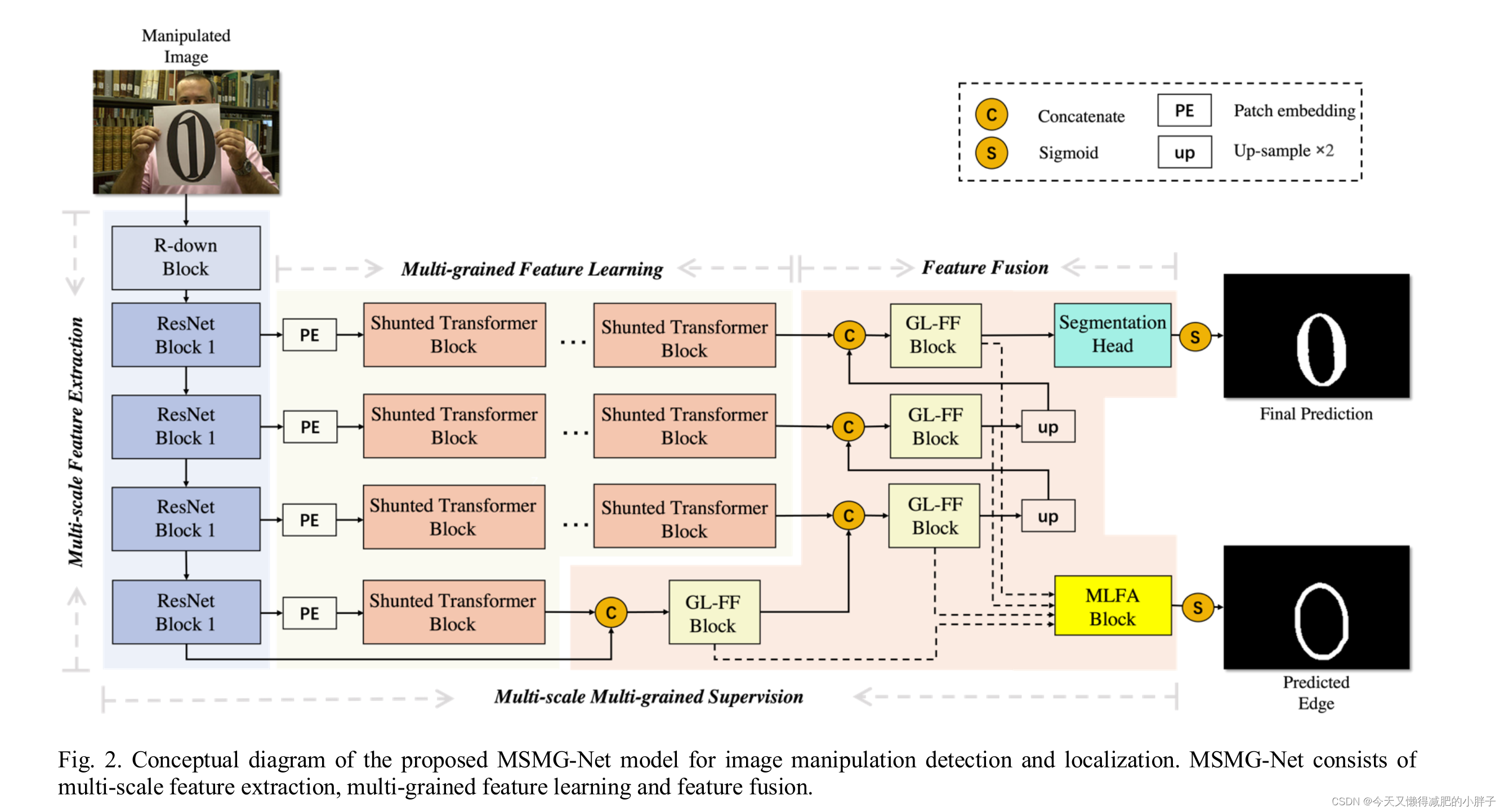 MSMG-Net: Multi-scale Multi-grained Supervised Networks for Multi-task ...