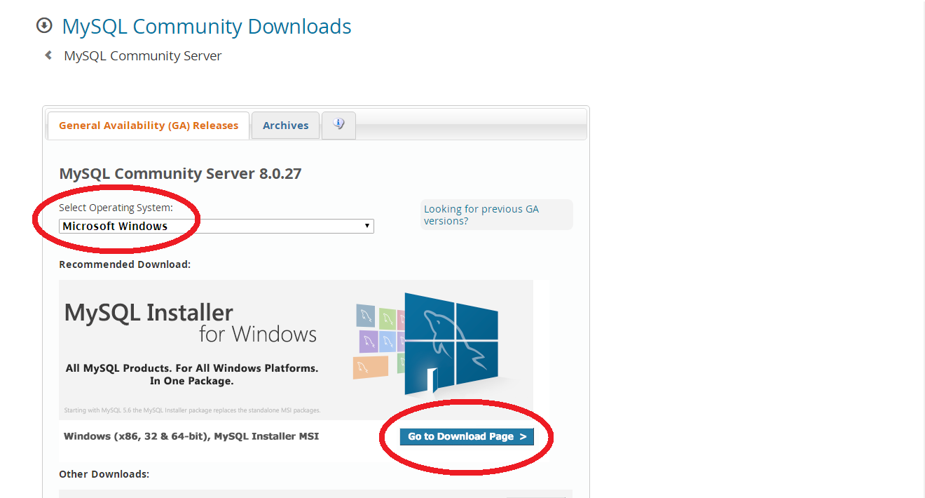 MySQL安装指南_mysql安装后没有图标-CSDN博客