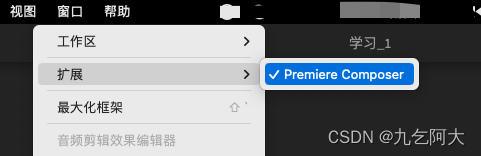 mac 2022 pr扩展功能灰色_pr扩展灰色不能用-CSDN博客