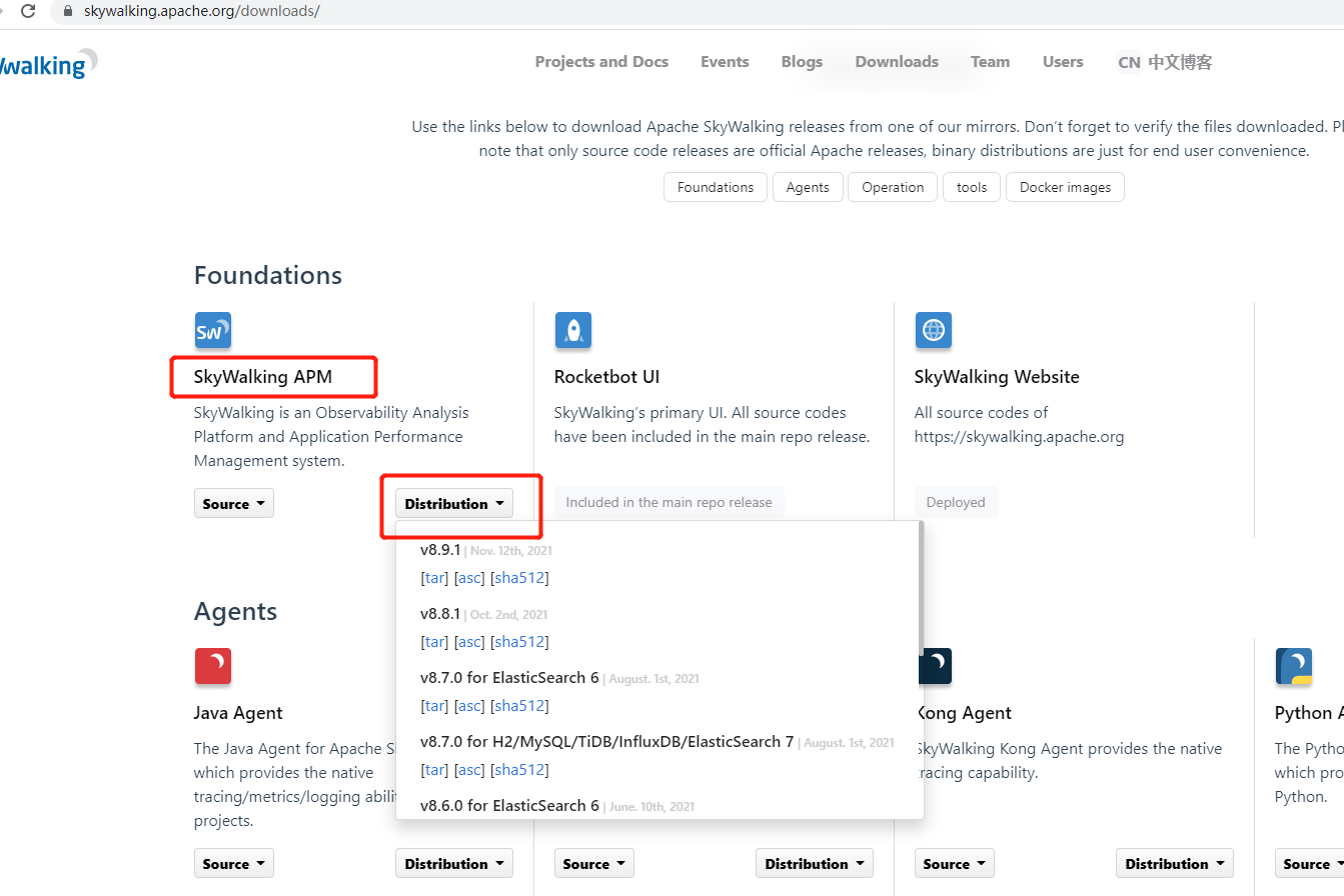Skywalking安装部署，在springboot中的使用_skywalking-agent.jar-CSDN博客