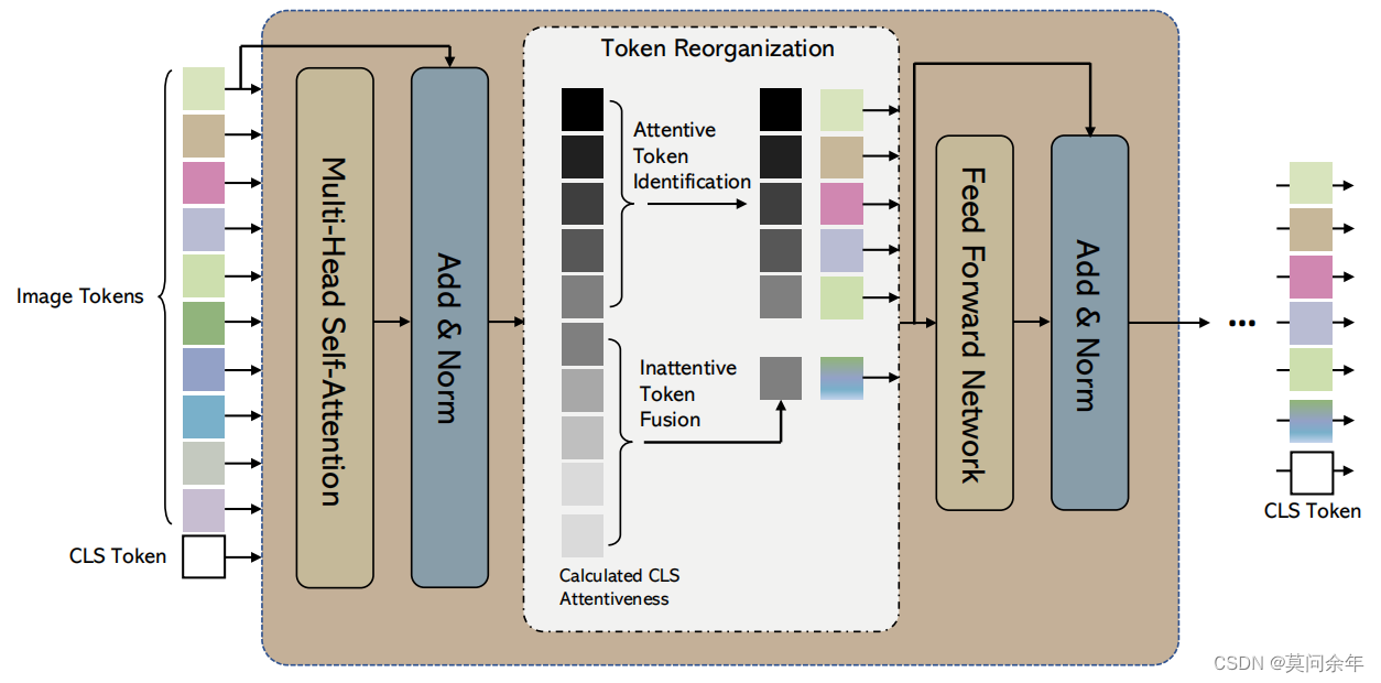 Token裁剪总结_class token-CSDN博客