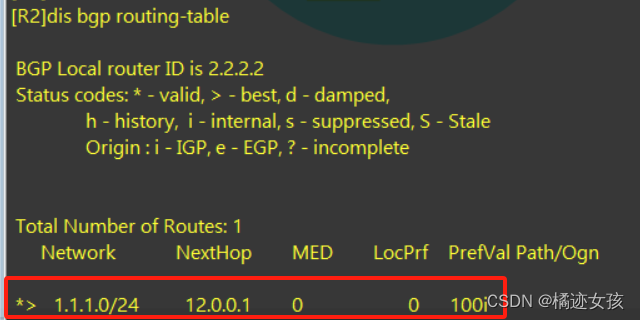 BGP基础配置+BGP路由发布_bgp配置-CSDN博客