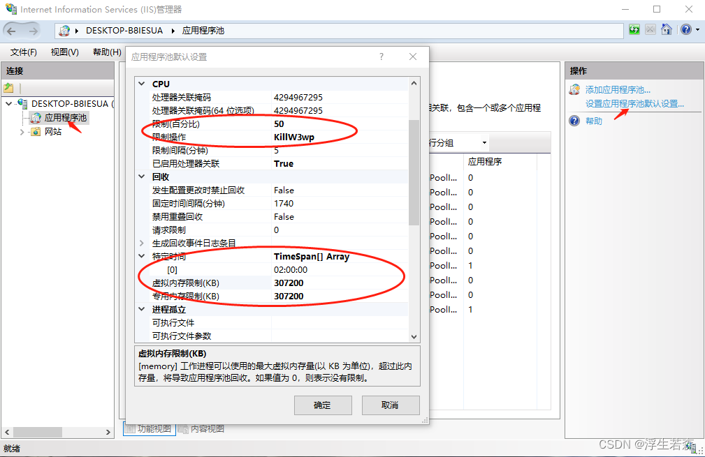IIS经常的崩溃解决方案_internet information services 间歇性崩溃-CSDN博客