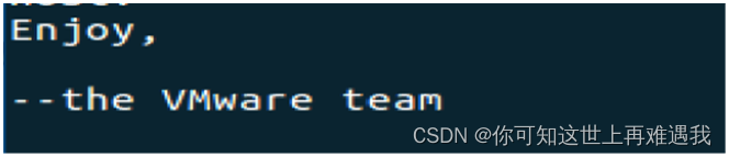 VMware 虚拟机下 银河麒麟安装VMware Tools_银河麒麟安装vmtools-CSDN博客