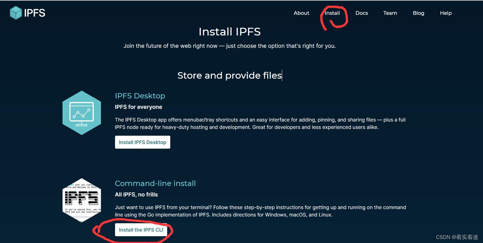 linux 安装ipfs —— IPFS环境配置_jetbra.in checker | ipfs-CSDN博客