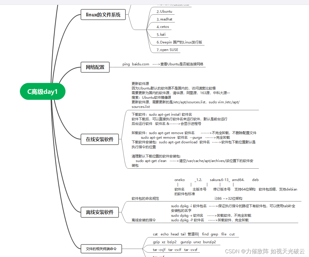 c高级day1-CSDN博客