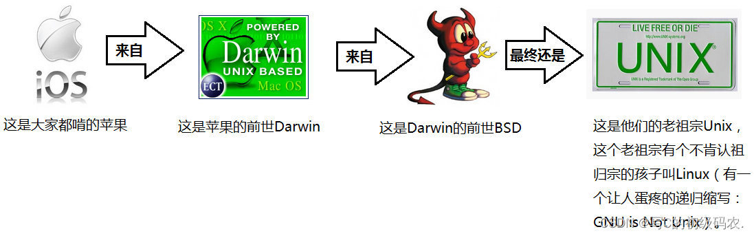 Unixlinux环境使用基础篇仅用显卡能部署unix环境 Csdn博客 3459